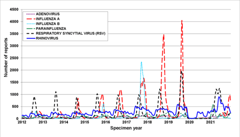 The Role of RSV in Respiratory Tract Infections Burden