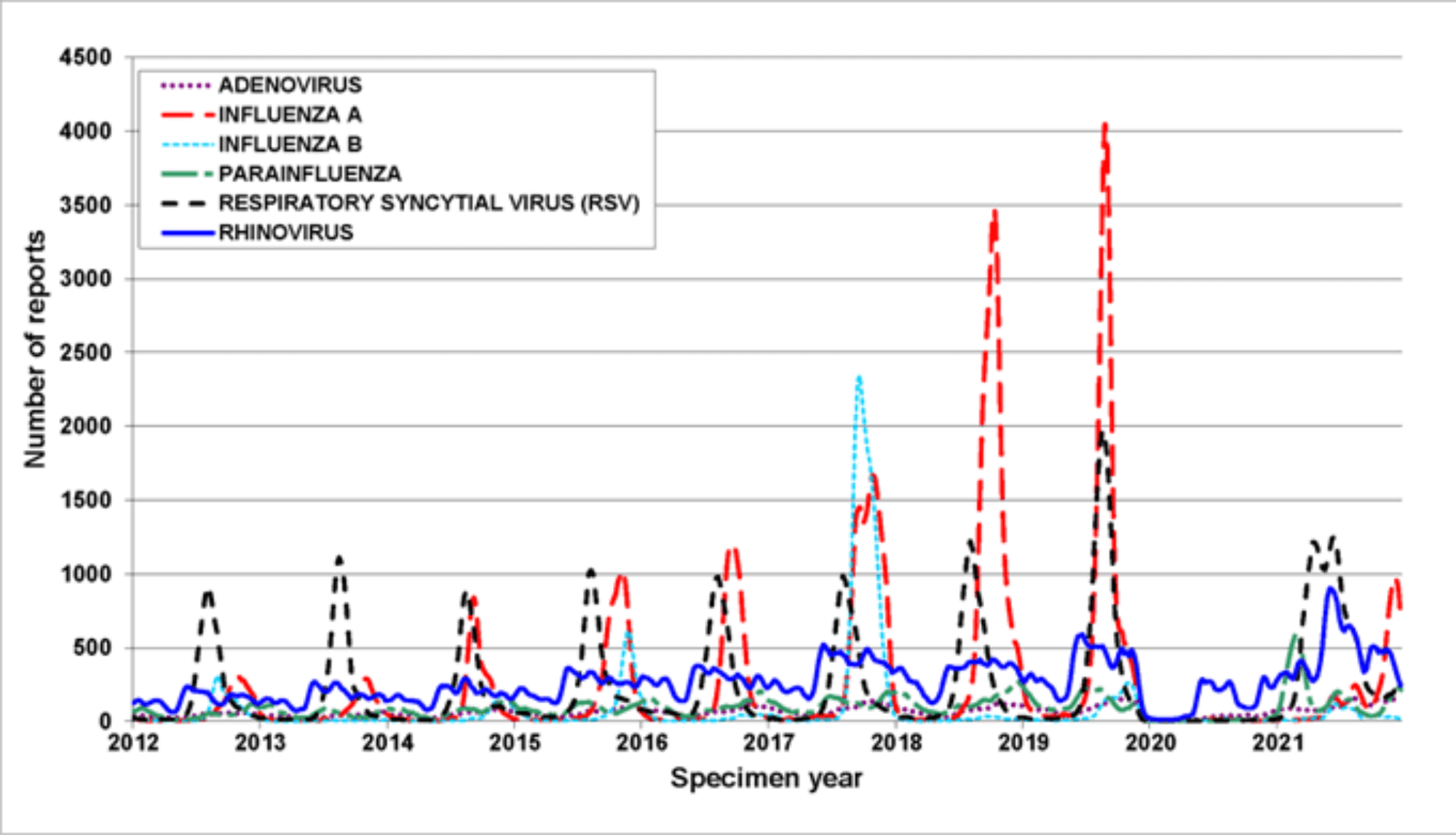 The Role of RSV in Respiratory Tract Infections Burden