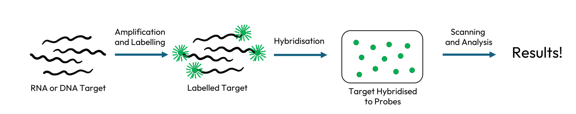 Microarray-Based Technologies in Molecular Diagnostics